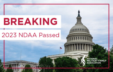 FY23 NDAA Wins and Losses